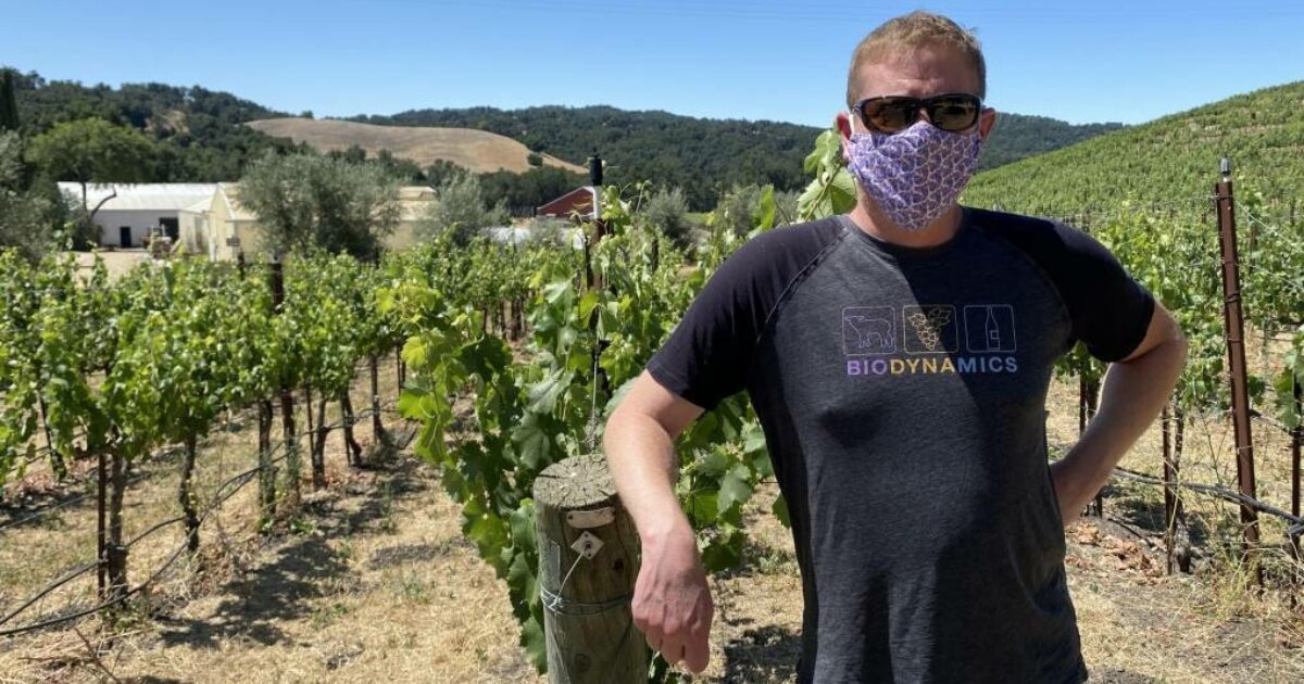 NPR / KQED News California Report interviews Jason… | Tablas Creek
